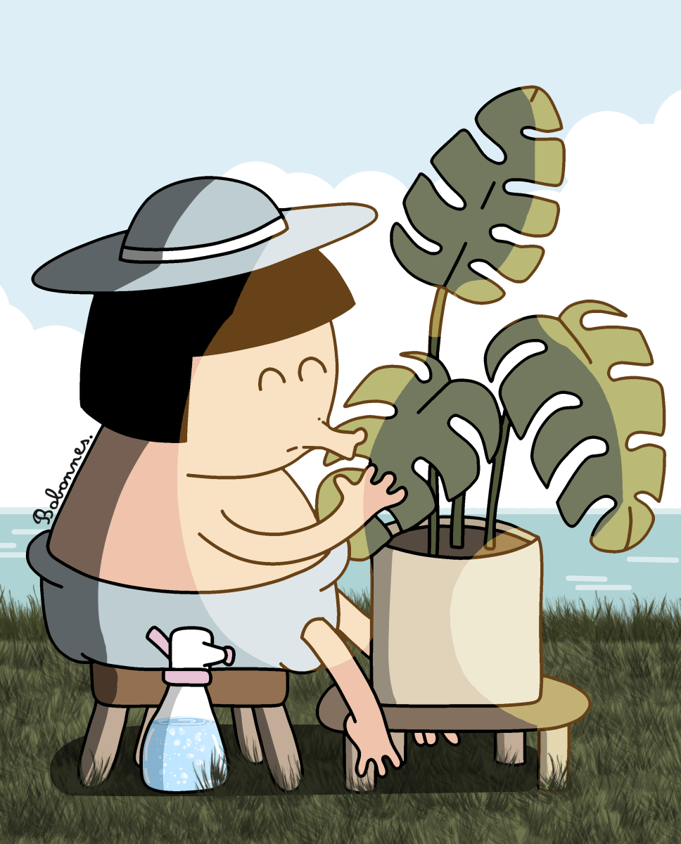 Un top et flop ? – Bobonnes